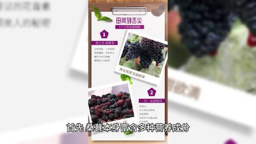 1884.桑葚泡酒的方法