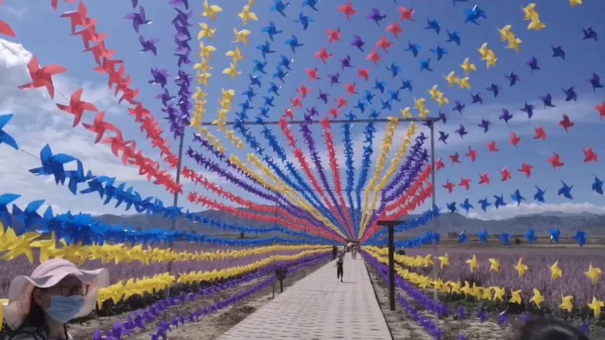 来紫苏节玩,偶遇本地卖艾叶产品的,果断买几个艾棒