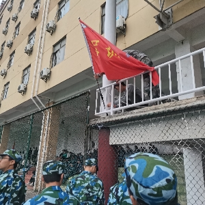 精明的捕食者策略 