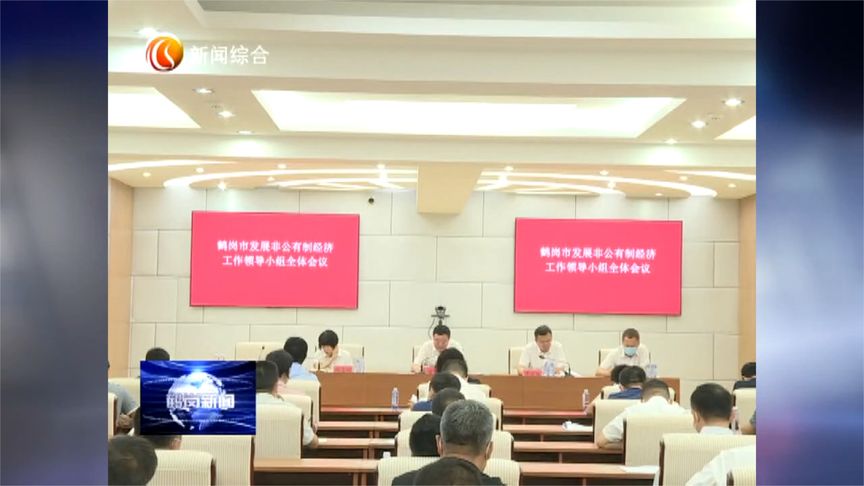 我市召开发展非公有制经济工作领导小组全体会议