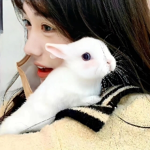 江西公务员-小百科版 