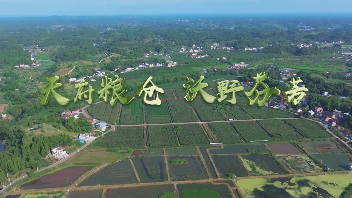 ...版 丨丨“我心中的思政课”——第八届全国高校大学生微电影展示活动