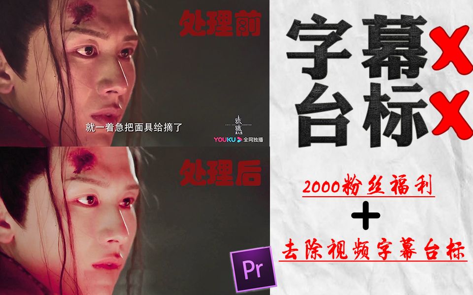 【pr教程】【内含2k粉丝福利】 教你用三种方法消除一切台标and字幕