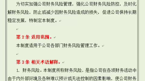 财务风险控制管理,从基本原则到管理监督与评估,可直接套用