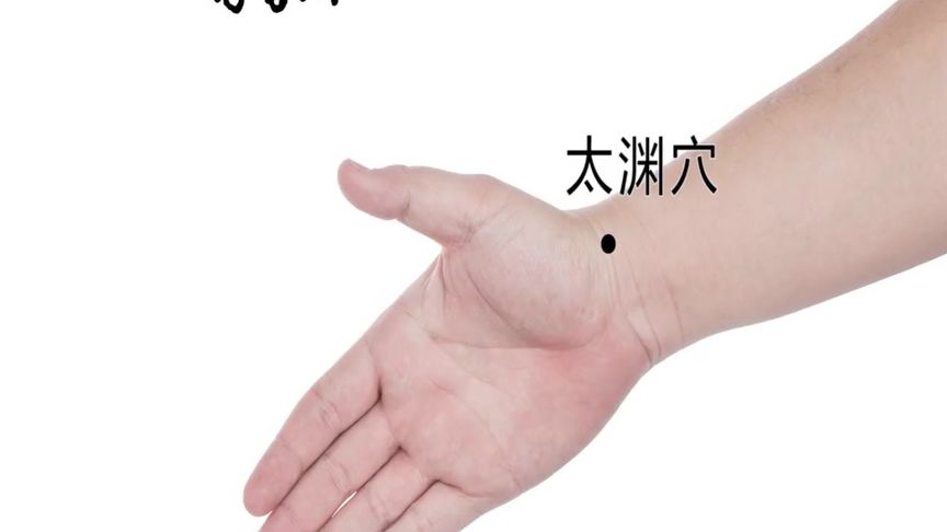 脉络-中医艾灸针灸取穴 太渊穴