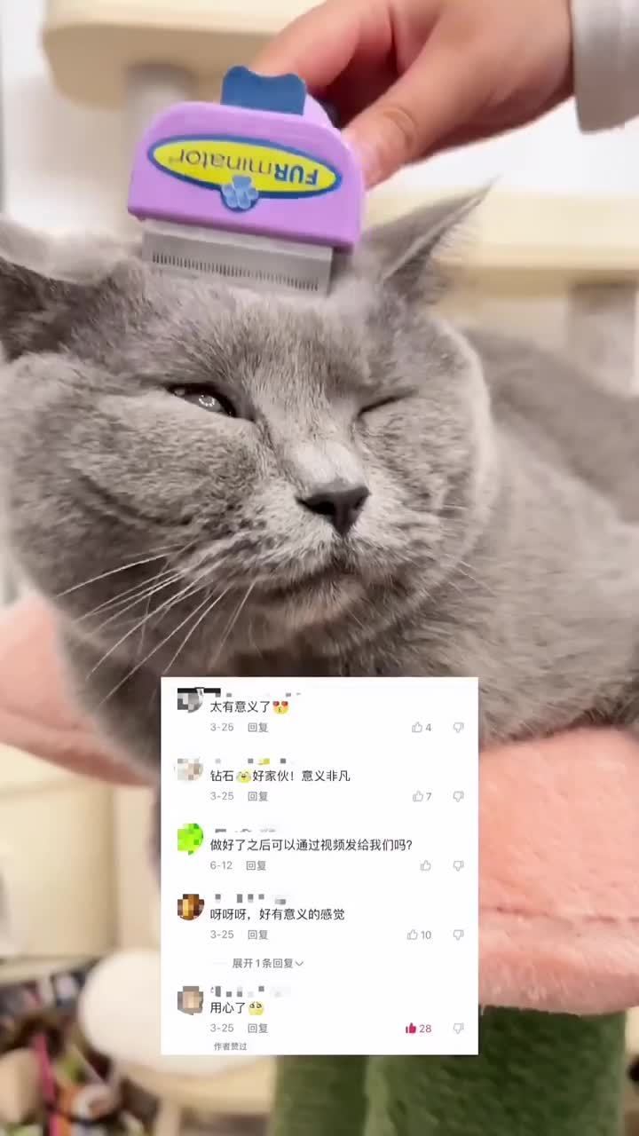 猫毛居然能,做成钻石诶!很有意义