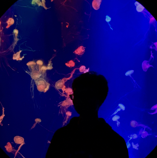 昊_冉 