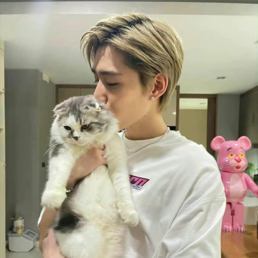 猹渣的树 