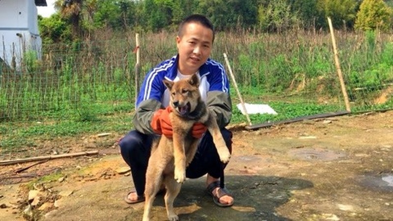 狗狗咬了老乡家4只鸡,东哥表示很无奈,只好这样把狗狗处理了