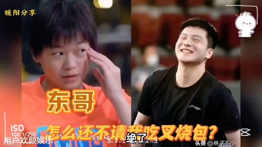 绝了!央视采访全红婵,主持人问的全是精髓,全红婵答的全是经典