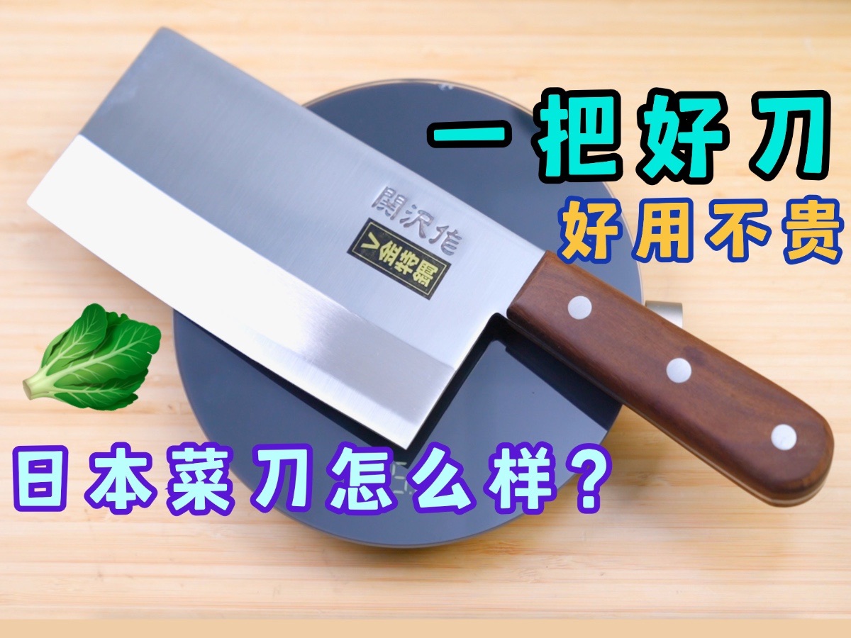 【好菜刀推荐】切菜砍骨都OK,没想到进口的日本菜刀挺好用的,科学...