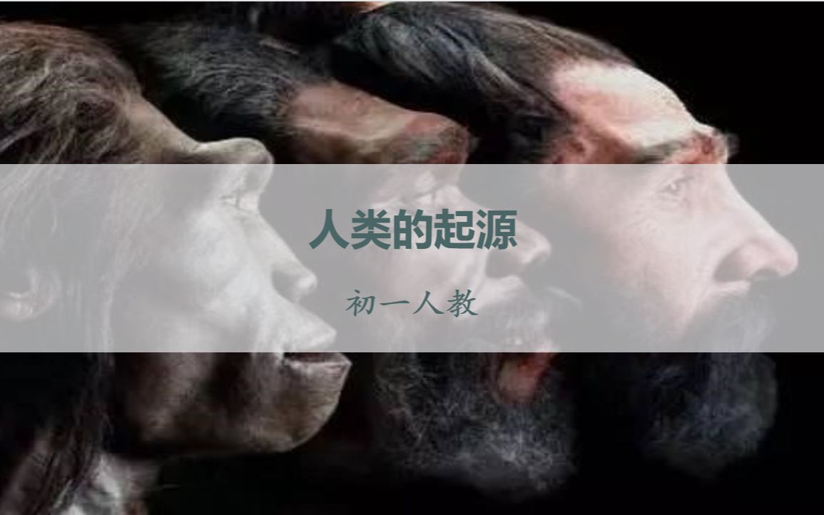 【人教七下】01人类的起源