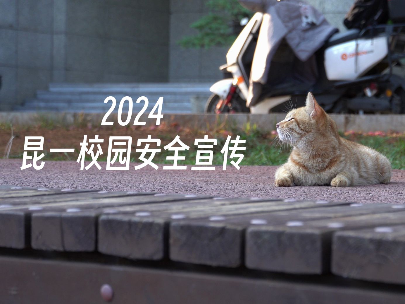 心中有爱,安全无忧——2024昆一中校园安全宣传