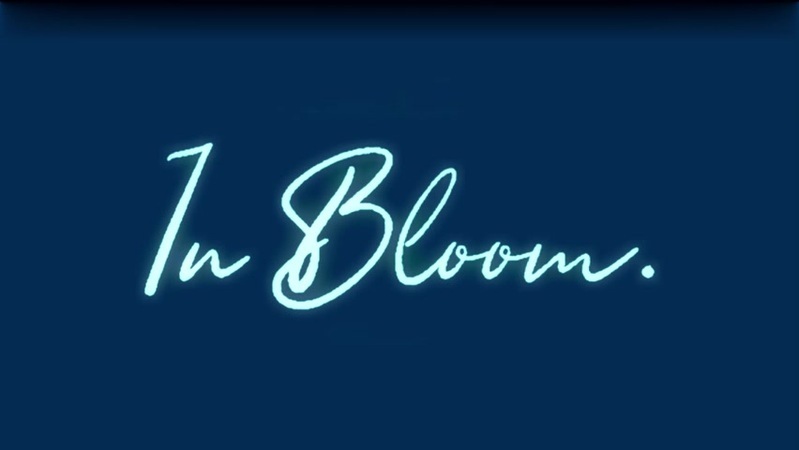 ZB1 InBloom舞台LED字幕背景|自制