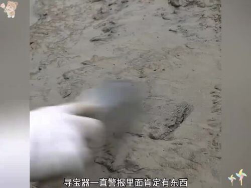 金属探测仪狂响不止!地下埋藏的竟不是古墓宝藏,挖出瞬间全场惊呆