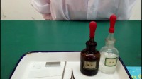 制作并观察洋葱鳞片叶内表皮细胞临时装片 (1)