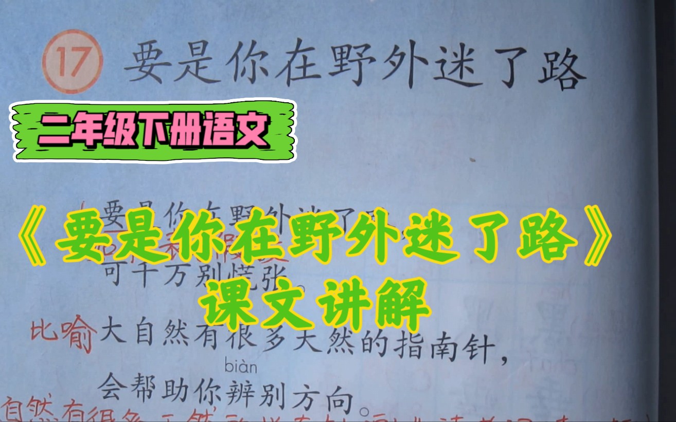 二下《要是你在野外迷了路》课文讲解,大自然中天然的指南针,了解一下!