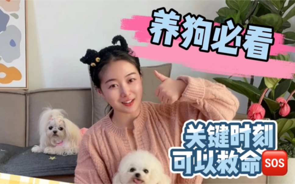 犬舍分享ߧ�满满干货!养狗必须知道的17种药!最后一种可以救命!