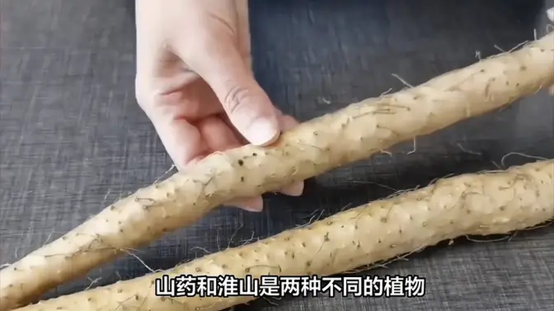 山药和淮山是两种不同的植物,在外观、质地和用途上都有一些区别