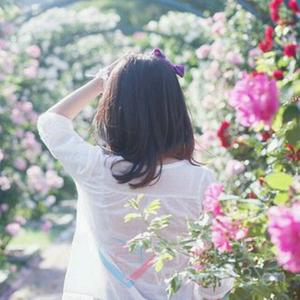梦里花开春已过 