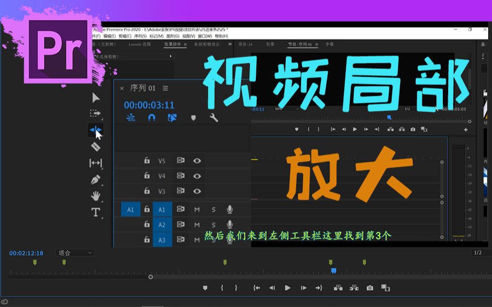 【PR教程】两招放大视频局部/再也不怕讲解视频看不清了