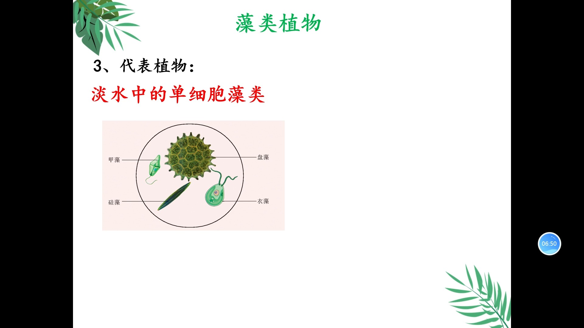 苏教版八年级上册生物 第一节 五彩缤纷的植物世界视频讲解 初二上册...