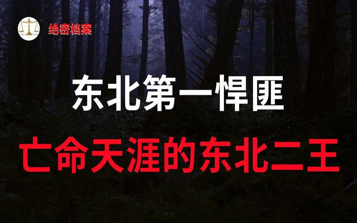 东北第一悍匪,亡命天涯的东北二王,流窜了大半个中国,最后的凄惨结局 ...