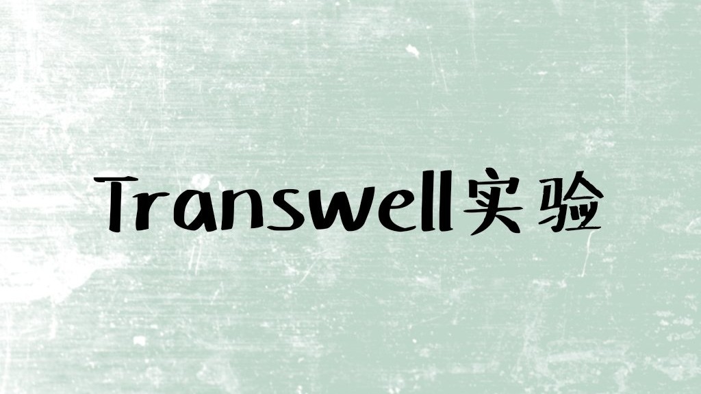 Transwell细胞侵袭实验方法