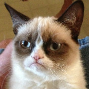 猫库克先生 