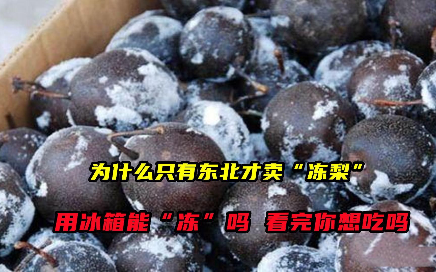 为什么只有东北才卖“冻梨”,用冰箱能“冻”吗?看完你想吃吗
