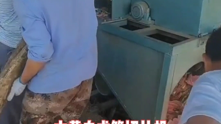 中药材,鸡血藤,白术,党参切片机,切段机