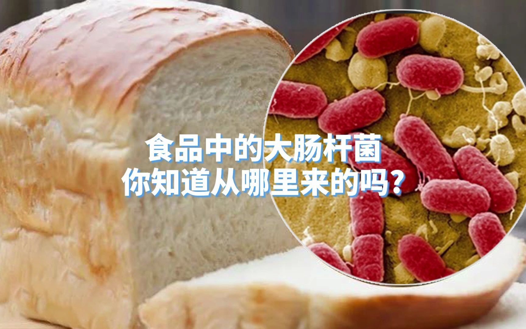 食品大肠杆菌超标的原因是什么?该如何解决?