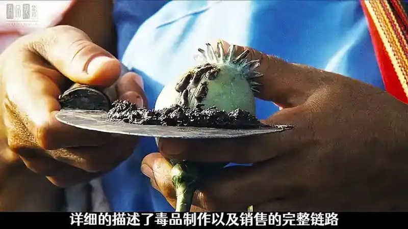 最好的禁毒宣传片