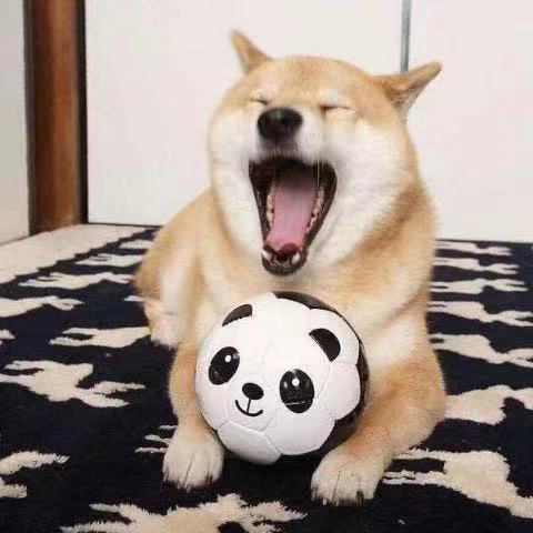 你是一只强 