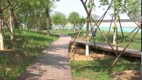 推进绿色朝阳建设 《朝阳区关于全面建立林长制的工作方案》出台