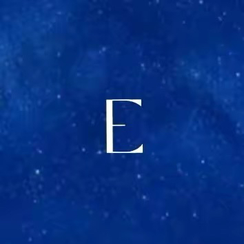 E法咨询 