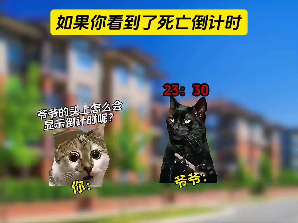 当你能看到死亡倒计时后