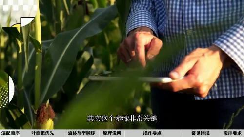 打药顺序搞错等于白干!这张表让你秒懂农药正确使用