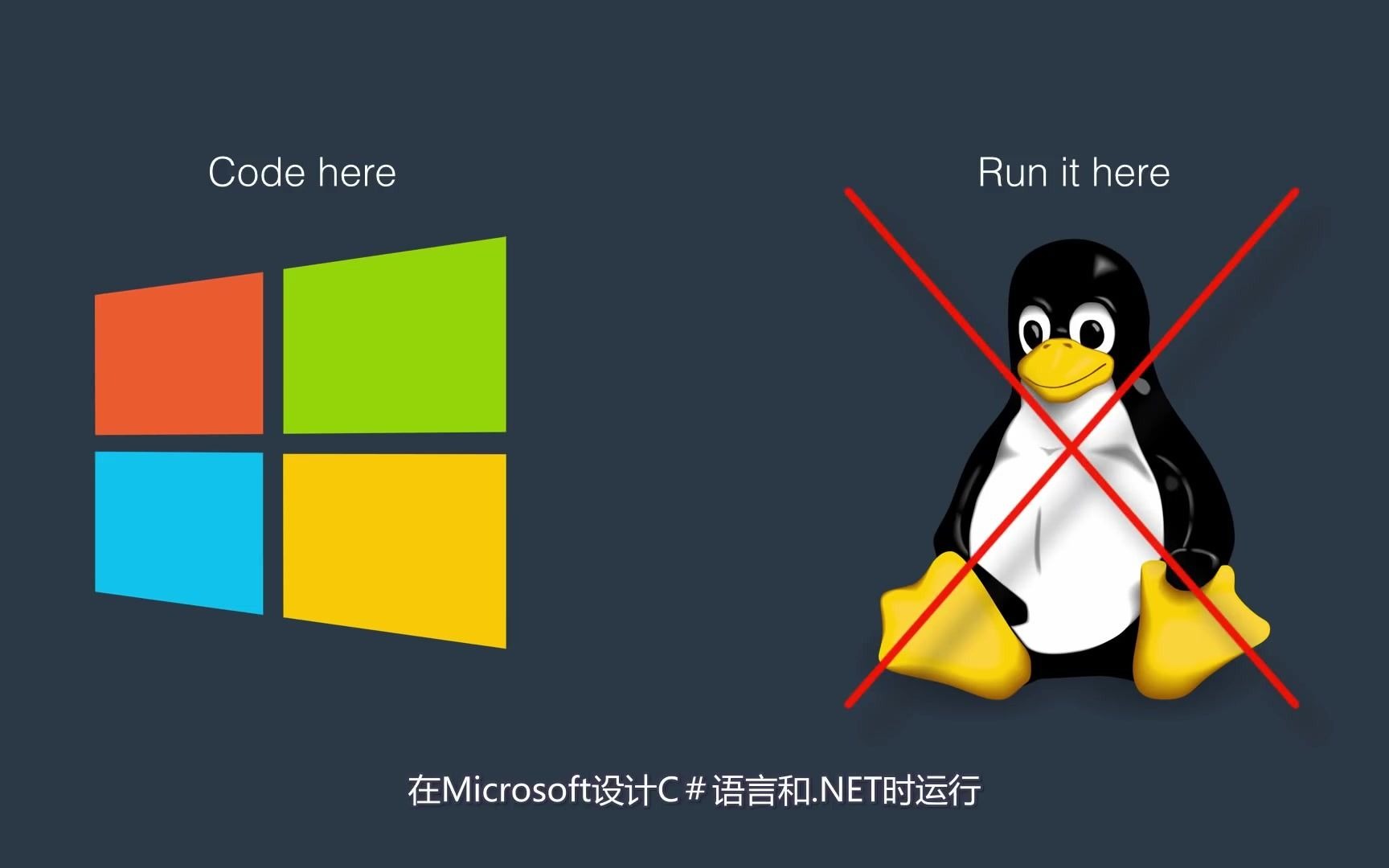 【C#教程】一小时零基础学C# 与 .NET(带字幕)