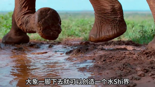 3世界很大,也可以很小!