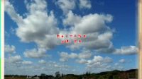 随着白云去流浪-木白学唱(歌曲)
