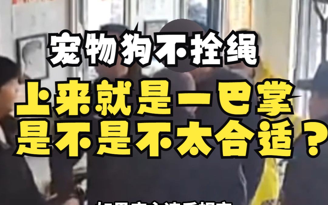 男子遭城管掌掴疑因宠物未拴绳 媒体:这掌打得响,也打得草莽