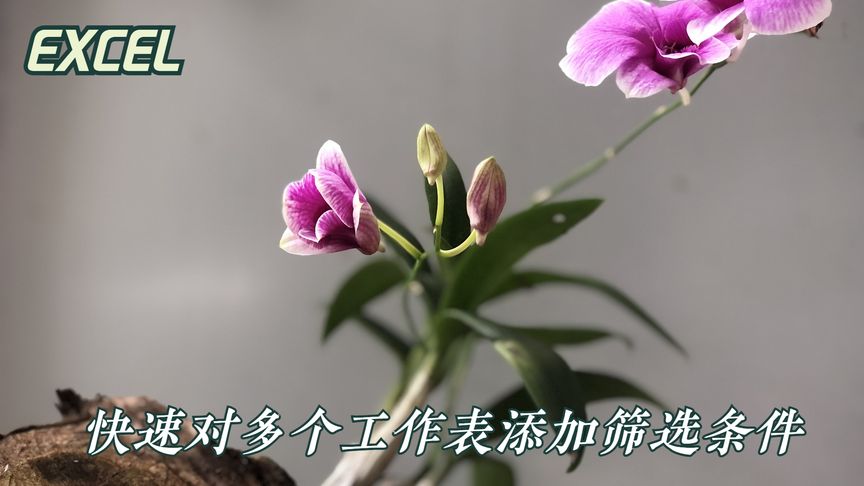 Excel-VBA应用(9):快速对多个工作表添加筛选条件