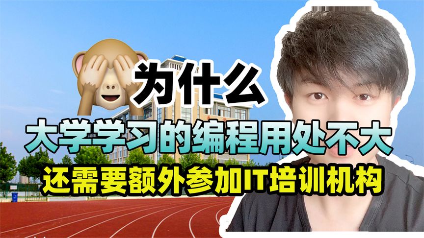 为什么大学学的编程用处不大,还需要额外参加IT培训机构了?
