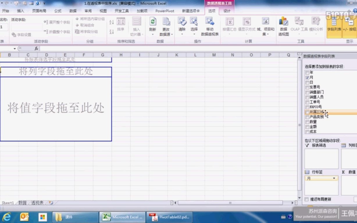 [王佩丰]Excel数据透视表视频教程04 透视表中排序筛选与切片器