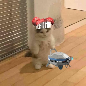 游鱼101 