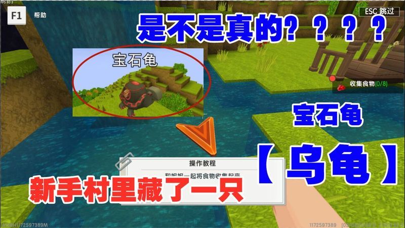迷你世界 隐藏在新手村的"生物"新生物真的会有生物的存在吗