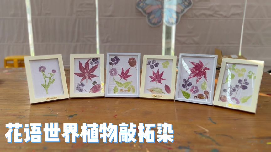年年岁岁,一次次轮回,花开,草枯时刻在变化
