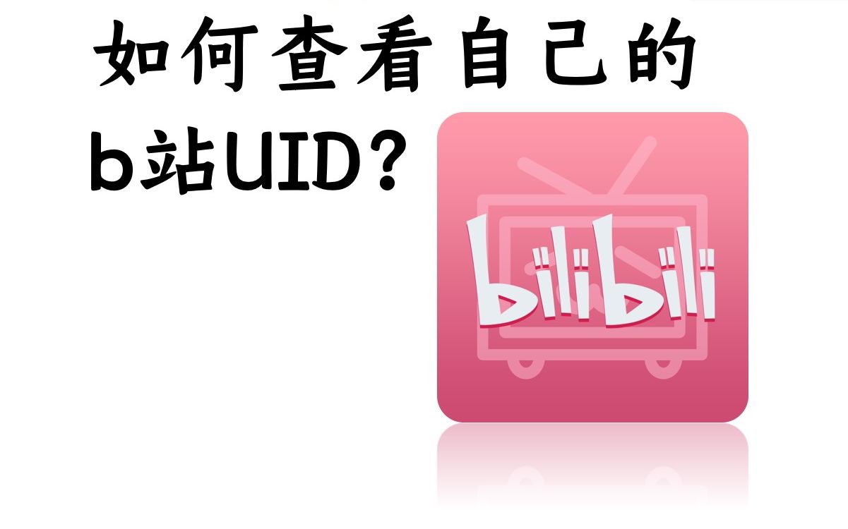 如何查看自己的b站UID?