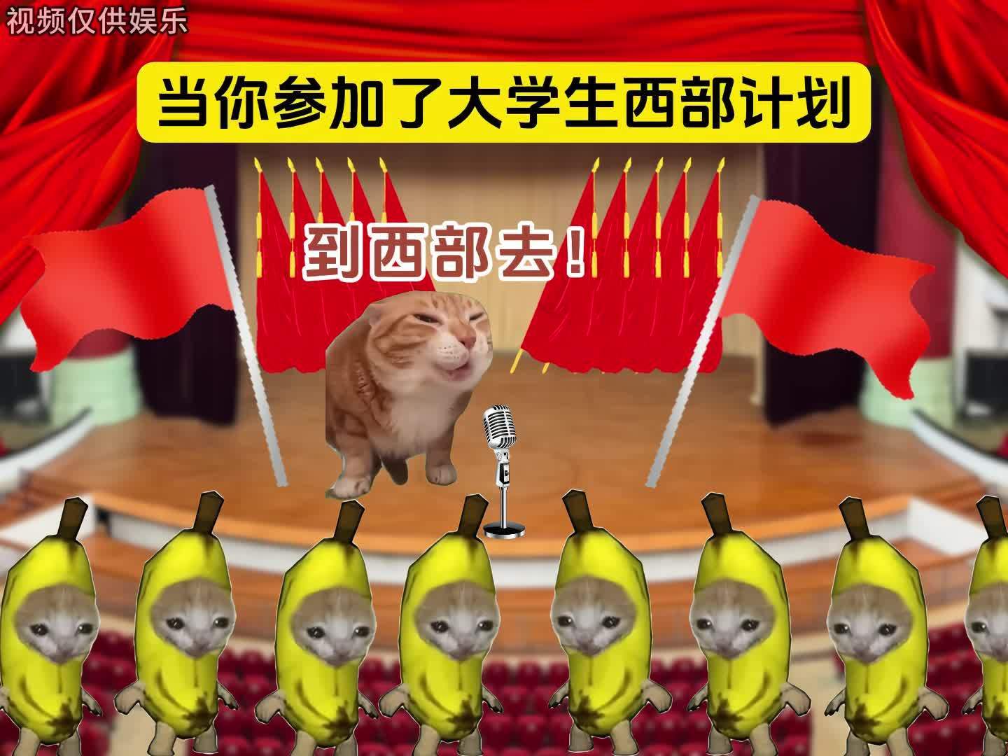 当你参加了大学生西部计划